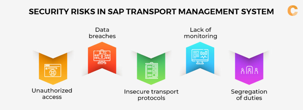SAP Transportation Management: A Comprehensive Guide