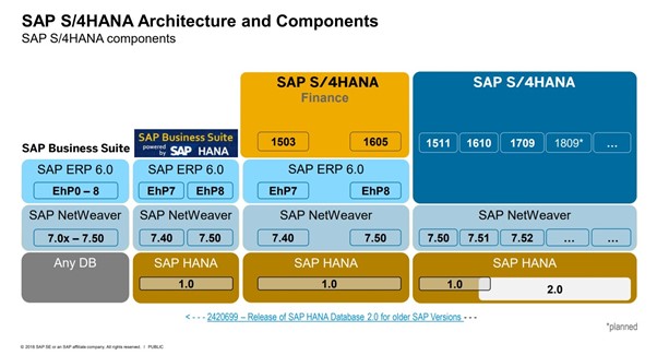 Mastering SAP S/4HANA Architecture for Business Excellence